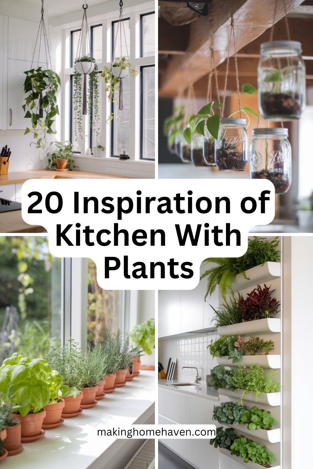 20 creative ways to add Kitchen Plants Decor - Making Home Haven